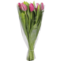 Erbjudanden - ICA Supermarket Herrljunga | ICA