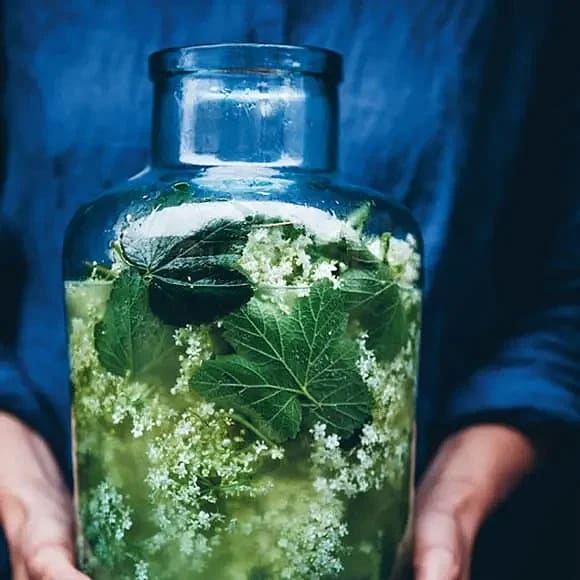 Flädersaft utan citronsyra | Recept ICA.se