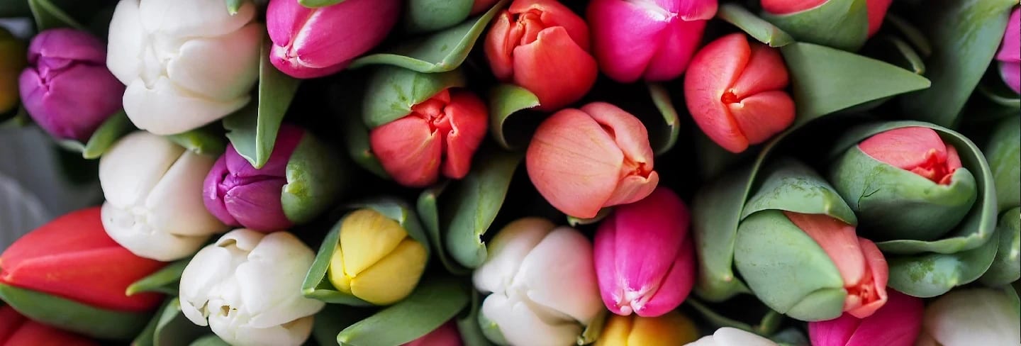 Marie Halling är utsedd till VD för ICA Banken | ICA Banken