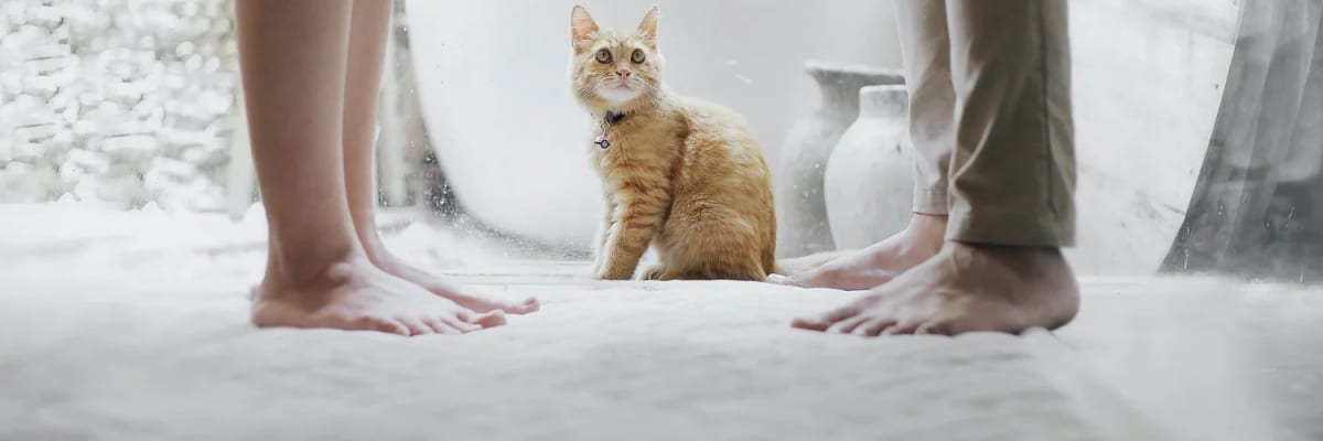 Bodelning för sambo – hur går det till | ICA Banken