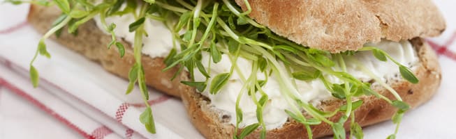 Färskost & cream cheese | Handla mat online från din lokala ICA-butik