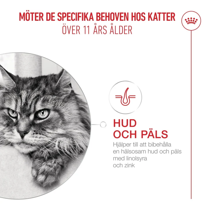Royal Canin Ageing 11+ 2 kg | Apotek Hjärtat