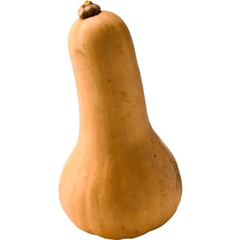 Pumpa Butternut ca 900g Klass 1 ICA | Handla mat online från din lokala ...