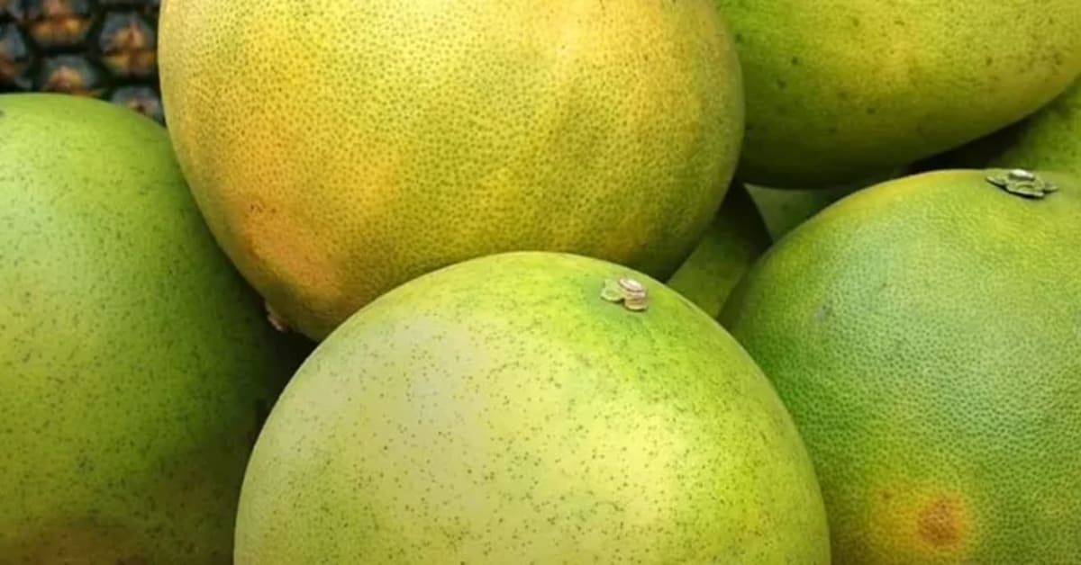 Pomelo - olika sorter | ICA