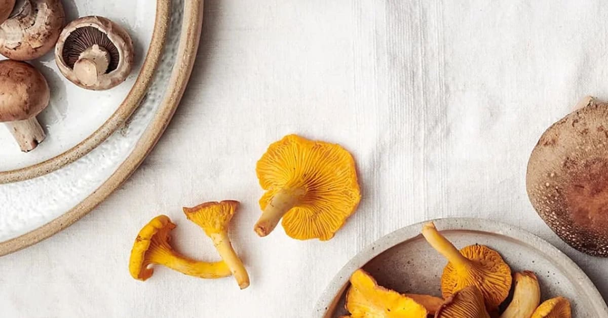 Svampsorter och tillagning | ICA