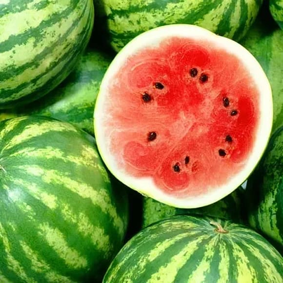 Vattenmelon – fakta, tips och läskande recept | ICA Buffé
