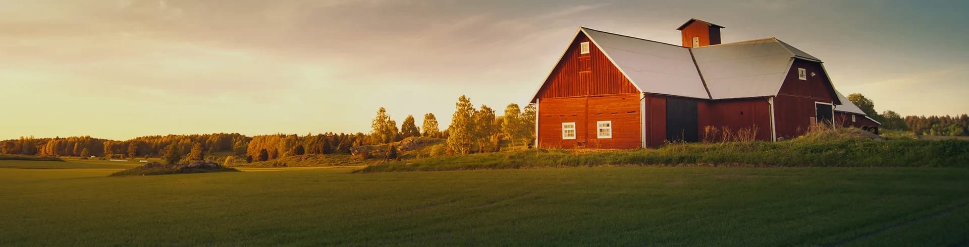 Svensk mat - klassiska svenska recept | ICA