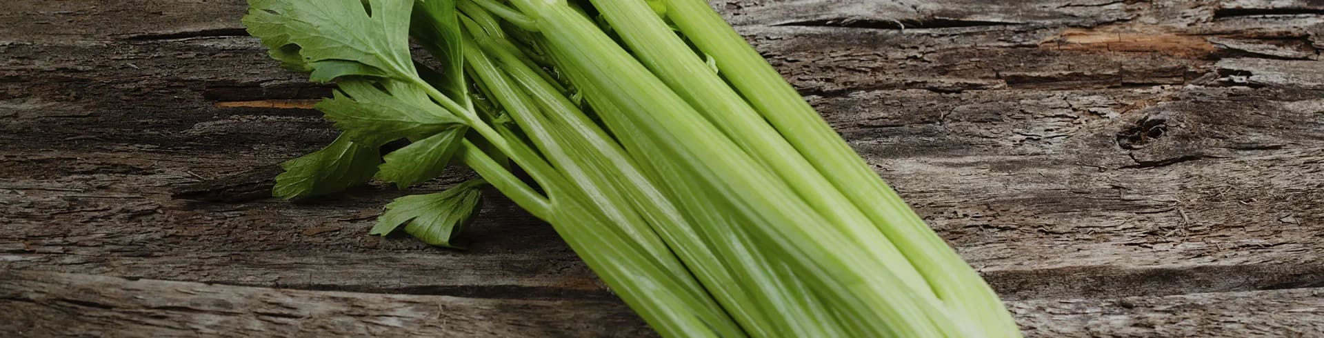 Selleri recept | ICA