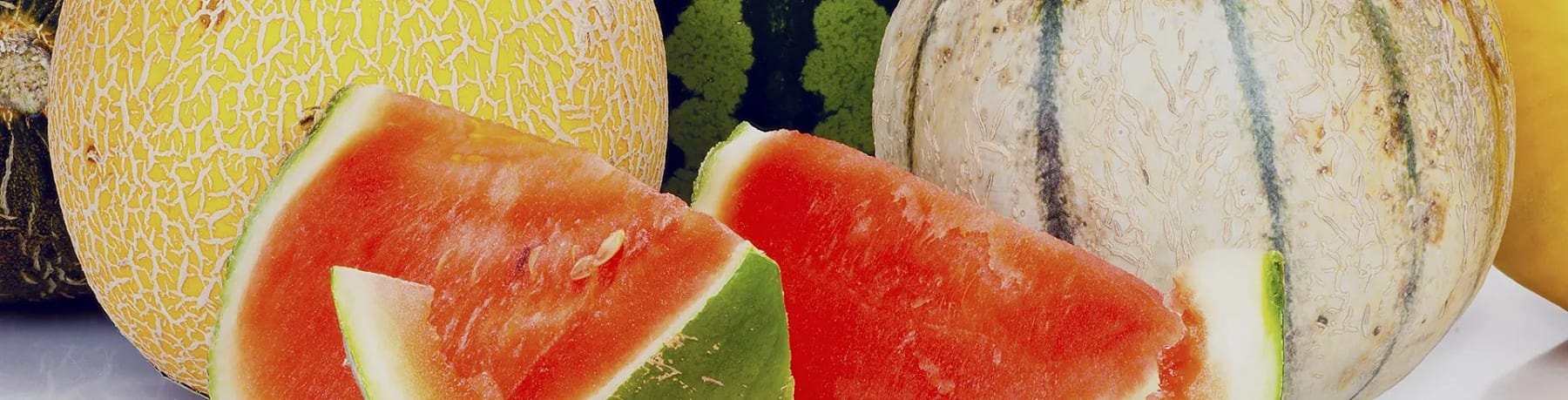Recept Nyttig Melon | ICA