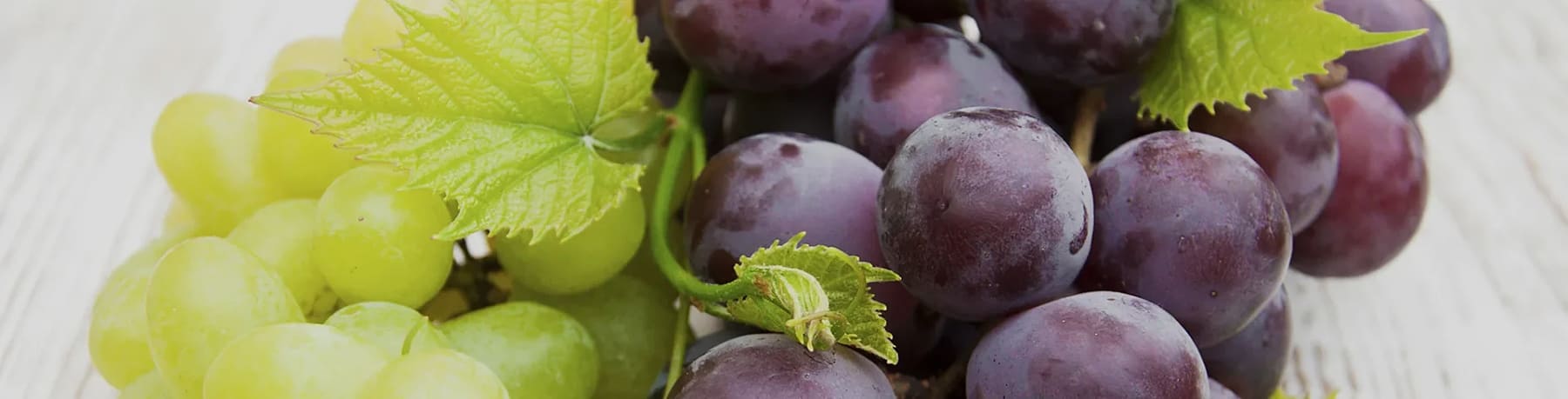 Recept vindruvor - laga gott med röda och gröna druvor | ICA