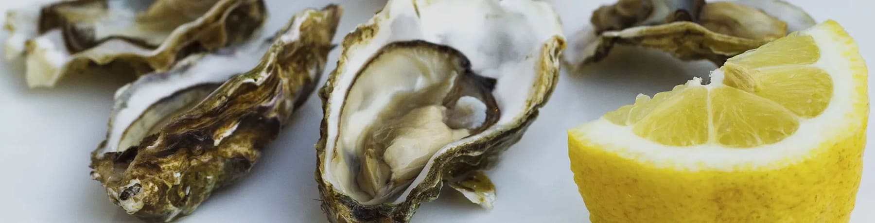 Recept ostron - hitta dina lyxiga ostronrecept! | ICA