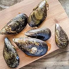 Recept krabba - tillaga dina krabbor på rätt sätt | ICA