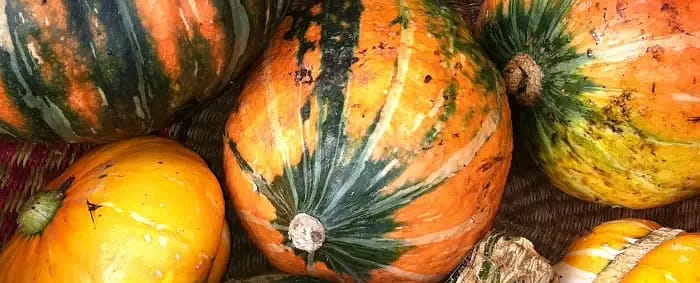 Pumpa | ICA Kvantum Tyresö