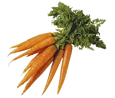 Rotfrukter | ICA Kvantum Sollefteå