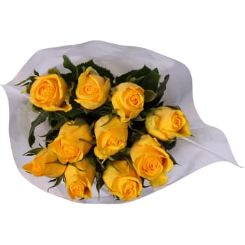 Rosor Gula 40Cm Ica | Nätmat